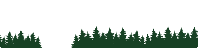 ROLEX® DATEJUST OYSTERSTEEL 41 MM